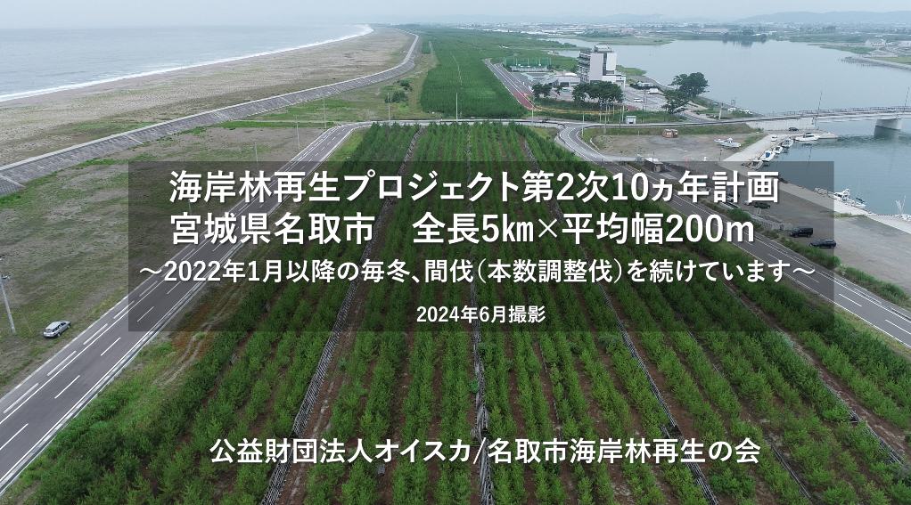 海岸林 再生 プロジェクト】活動地100haのドローン撮影動画公開 - 公益財団法人オイスカ